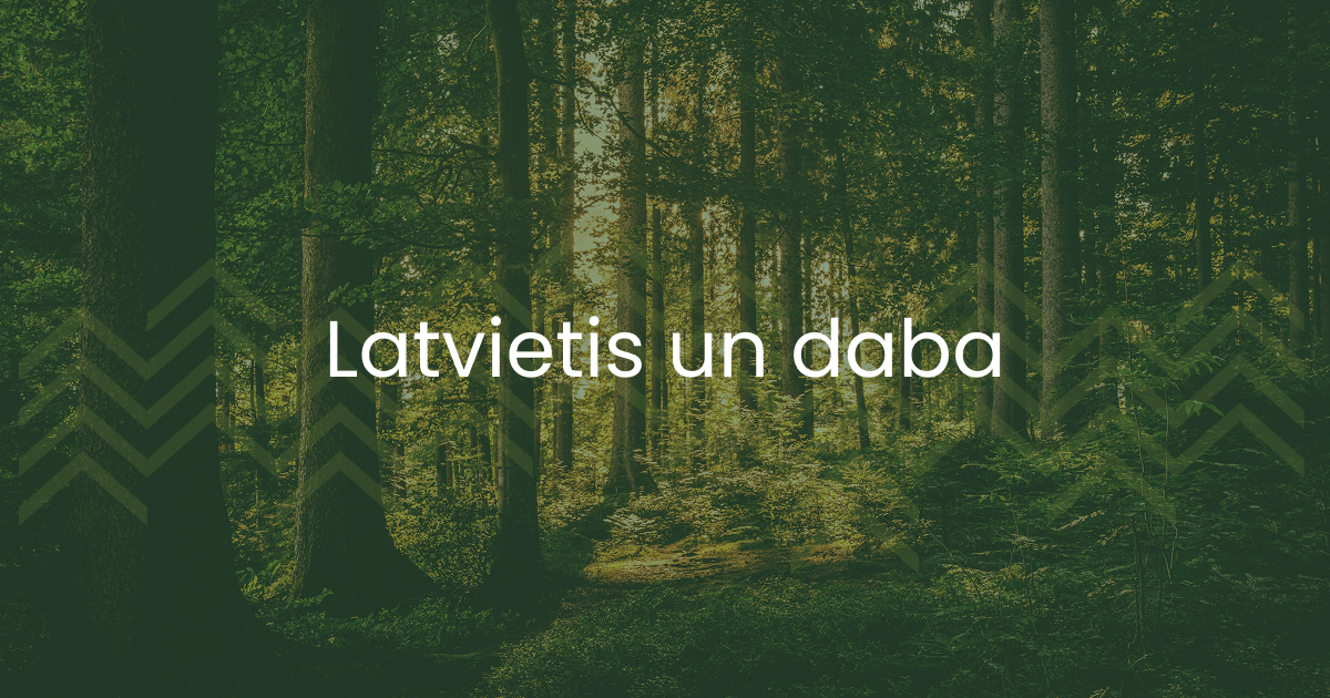 Latvietis un daba - TVNET